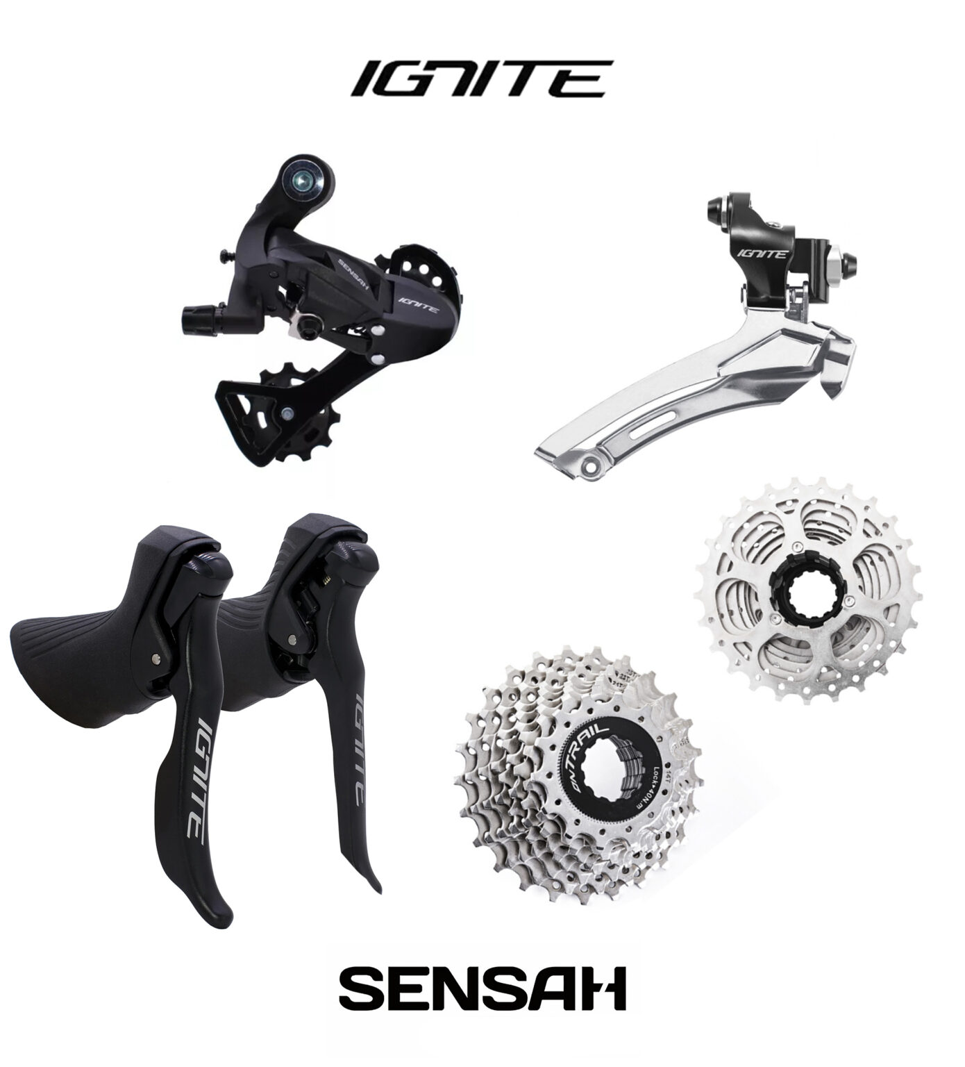 Ruedas para ruta Shimano RS100 para 10-11V - Poseidon Bike